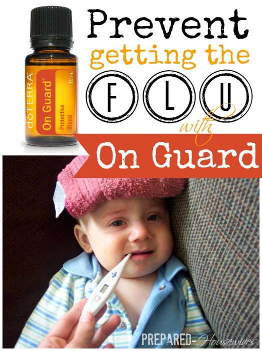 Keep the Flu AWAY From Your Home With On Guard | Survival | Before It's ...